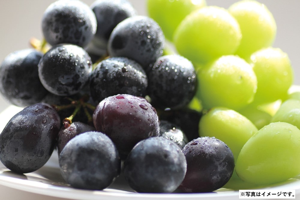 | 東急ストアオンラインショップ